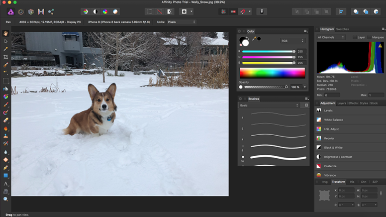THE MOST POWERFUL DIGITAL TOOL OF THE ERA - PHOTO EDITING SOFTWARE ...